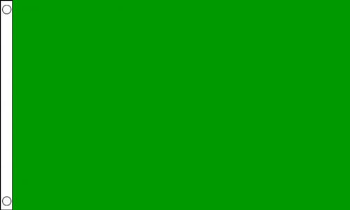 Green Flag | Buy Plain Green Flags For Sale - The World of Flags
